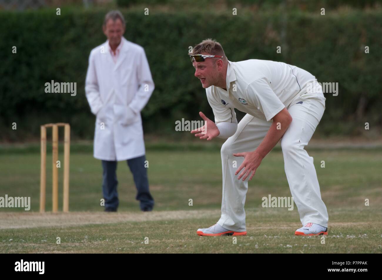 Fielder Stock Photos & Fielder Stock Images - Alamy