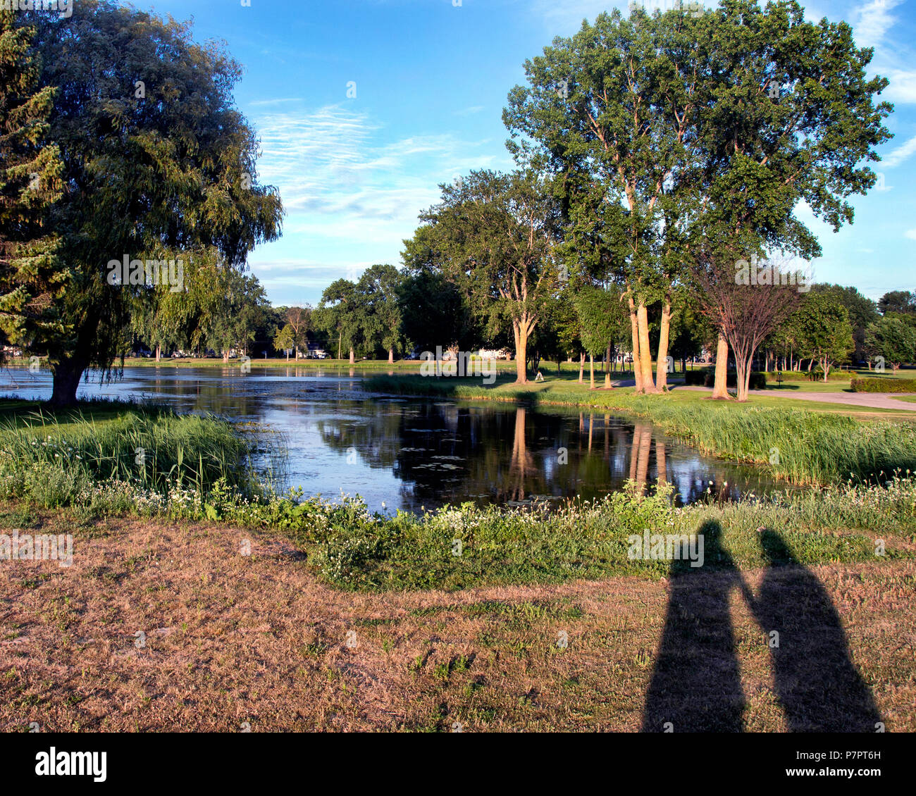 Cheerful shadows hi-res stock photography and images - Alamy