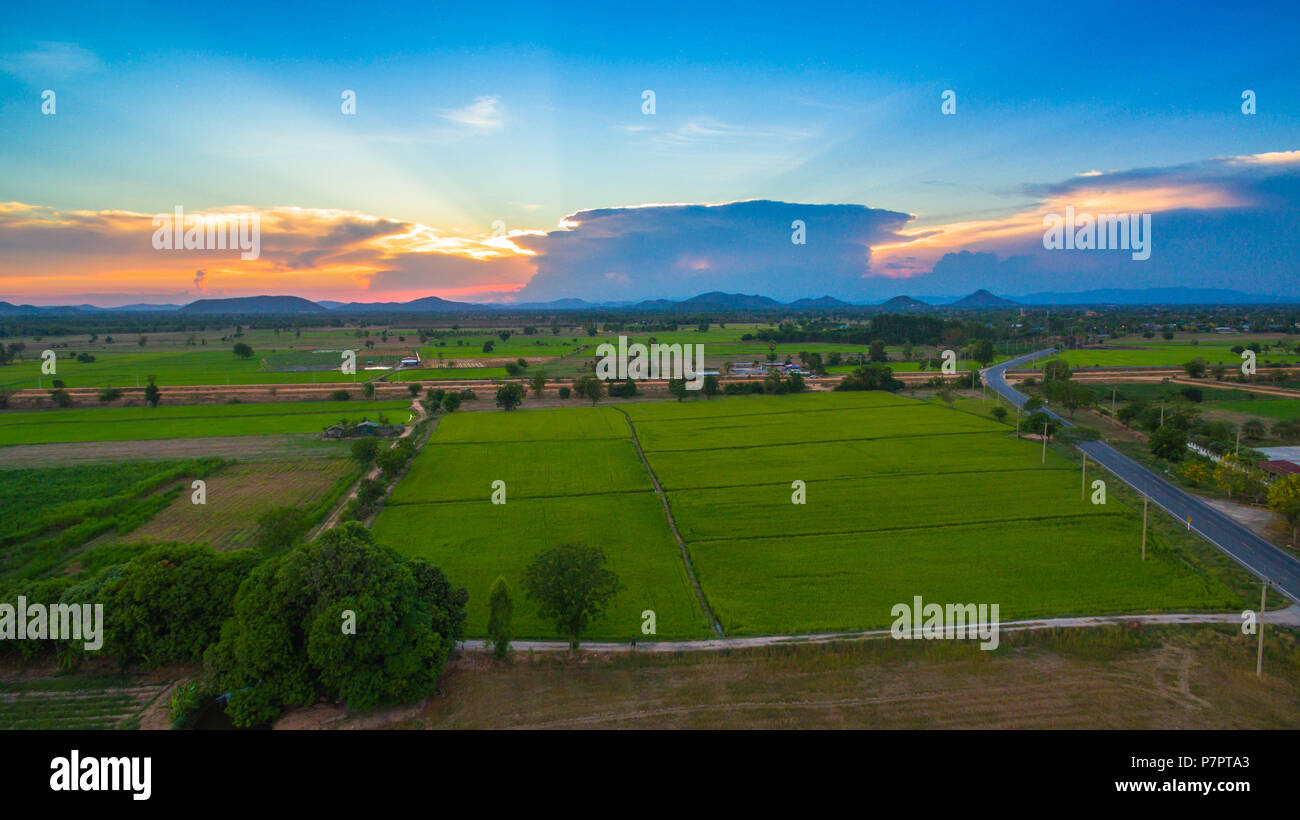 aerial view scenery sunset on new route pass in the rice field. under ...