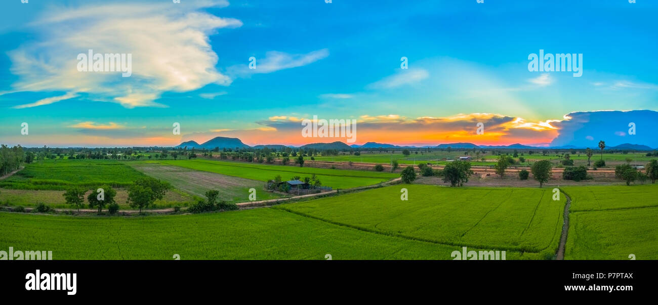 aerial view scenery sunset on new route pass in the rice field. under ...