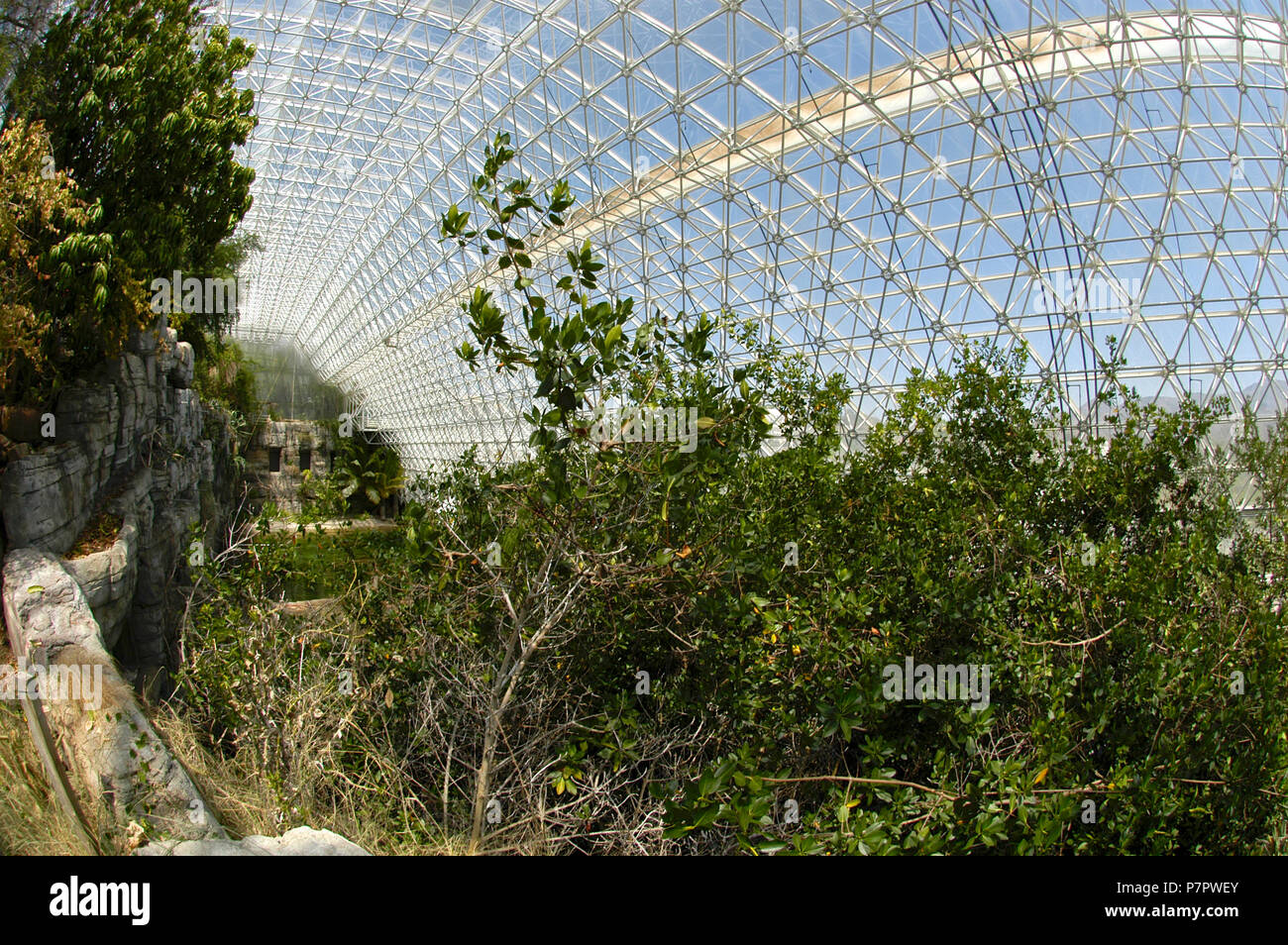 Biosphere 2 is an American Earth system science research facility ...