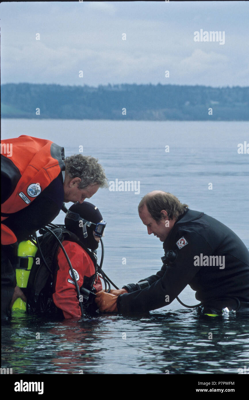 Handicapped scuba diver hi-res stock photography and images - Alamy