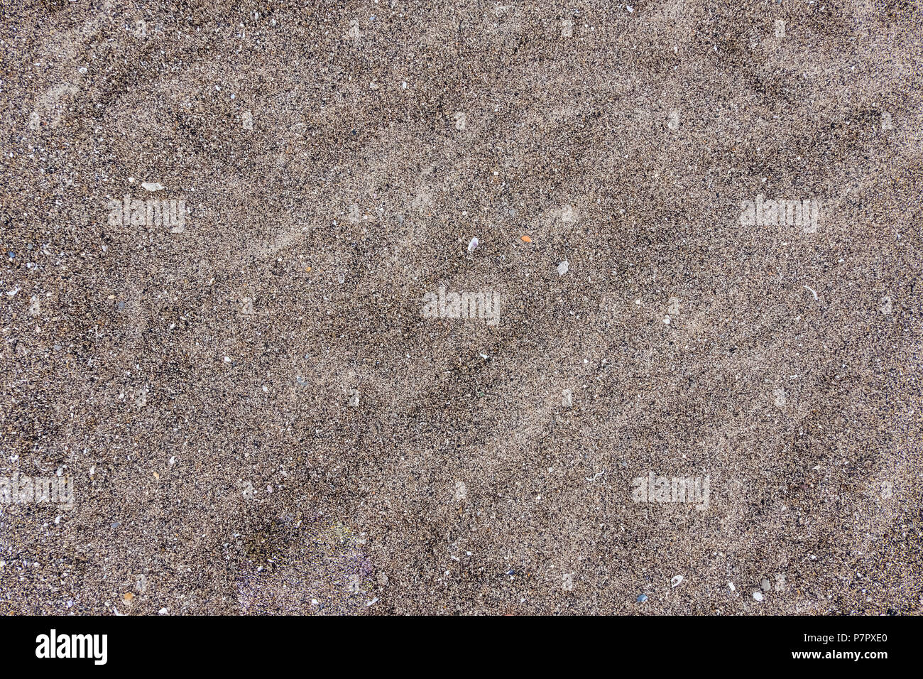 Sand at the beach Stock Photo - Alamy
