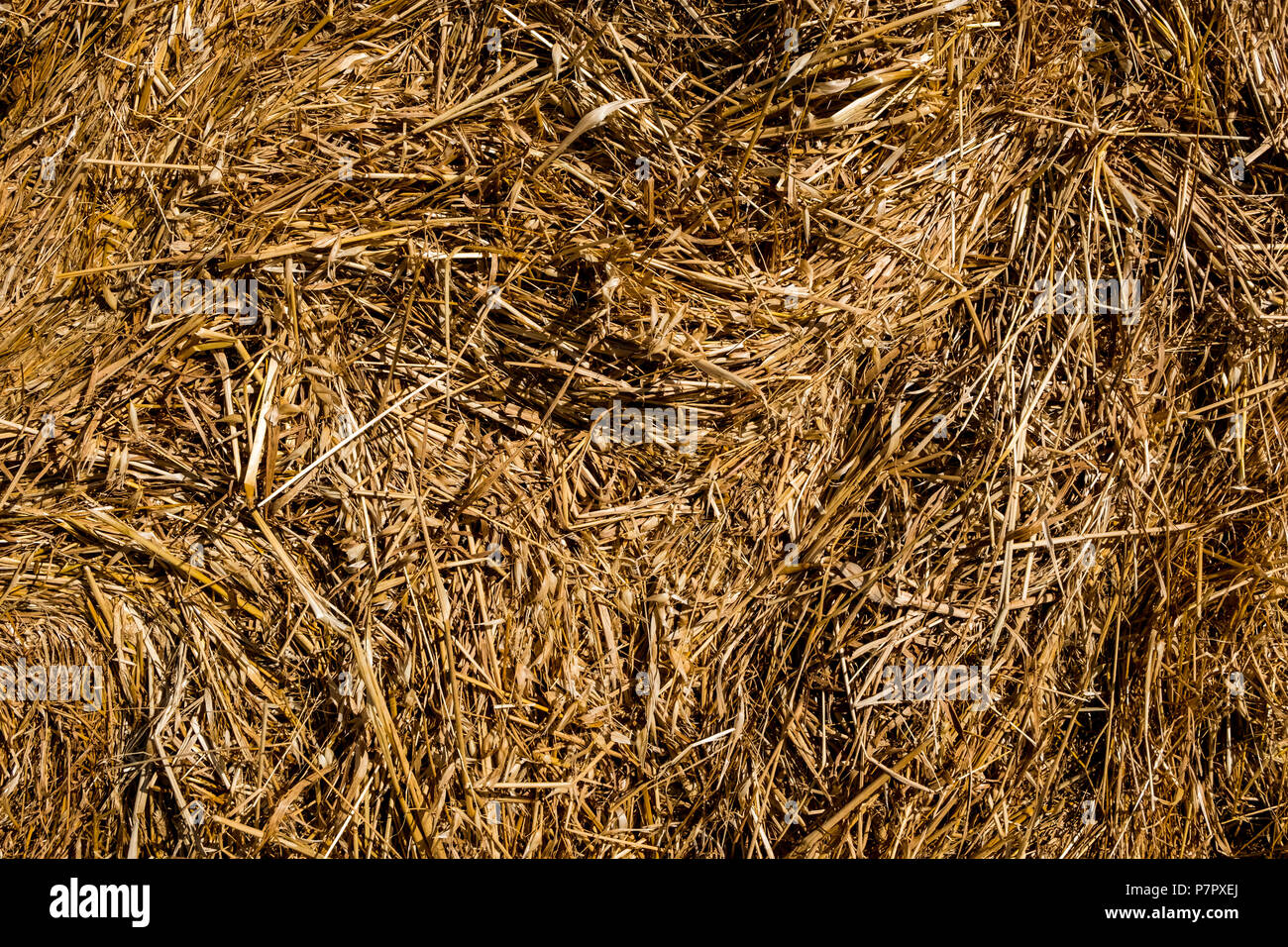 Hay roll texture detail Stock Photo - Alamy