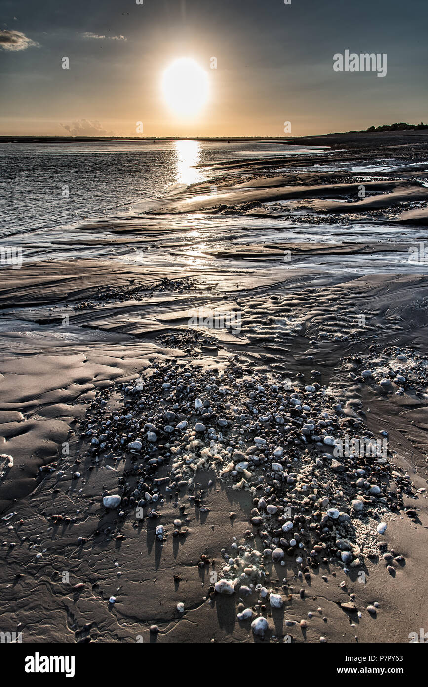 Pebbles puddle hi-res stock photography and images - Alamy