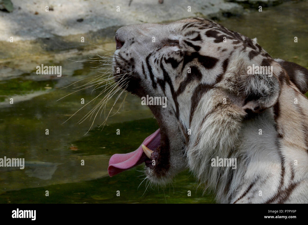 National zoological park delhi hi-res stock photography and images - Alamy