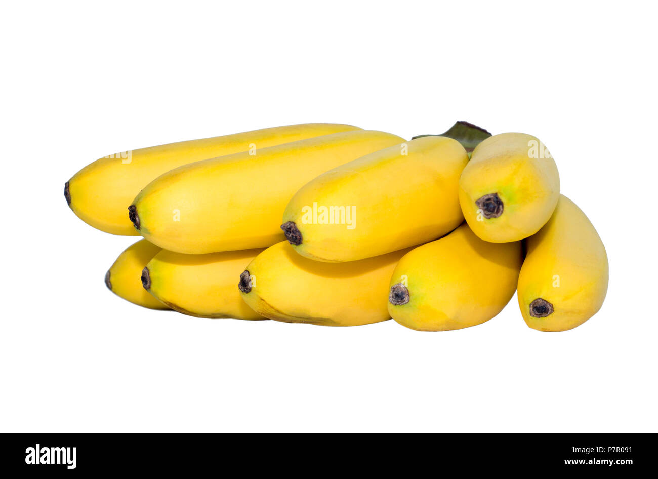 yellow ripe mini bananas isolated on white background. object, fruit ...