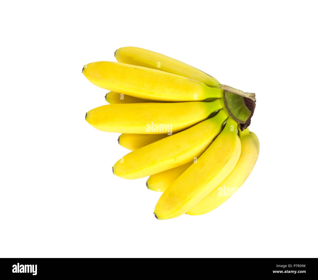 yellow ripe mini bananas isolated on white background. object, fruit ...