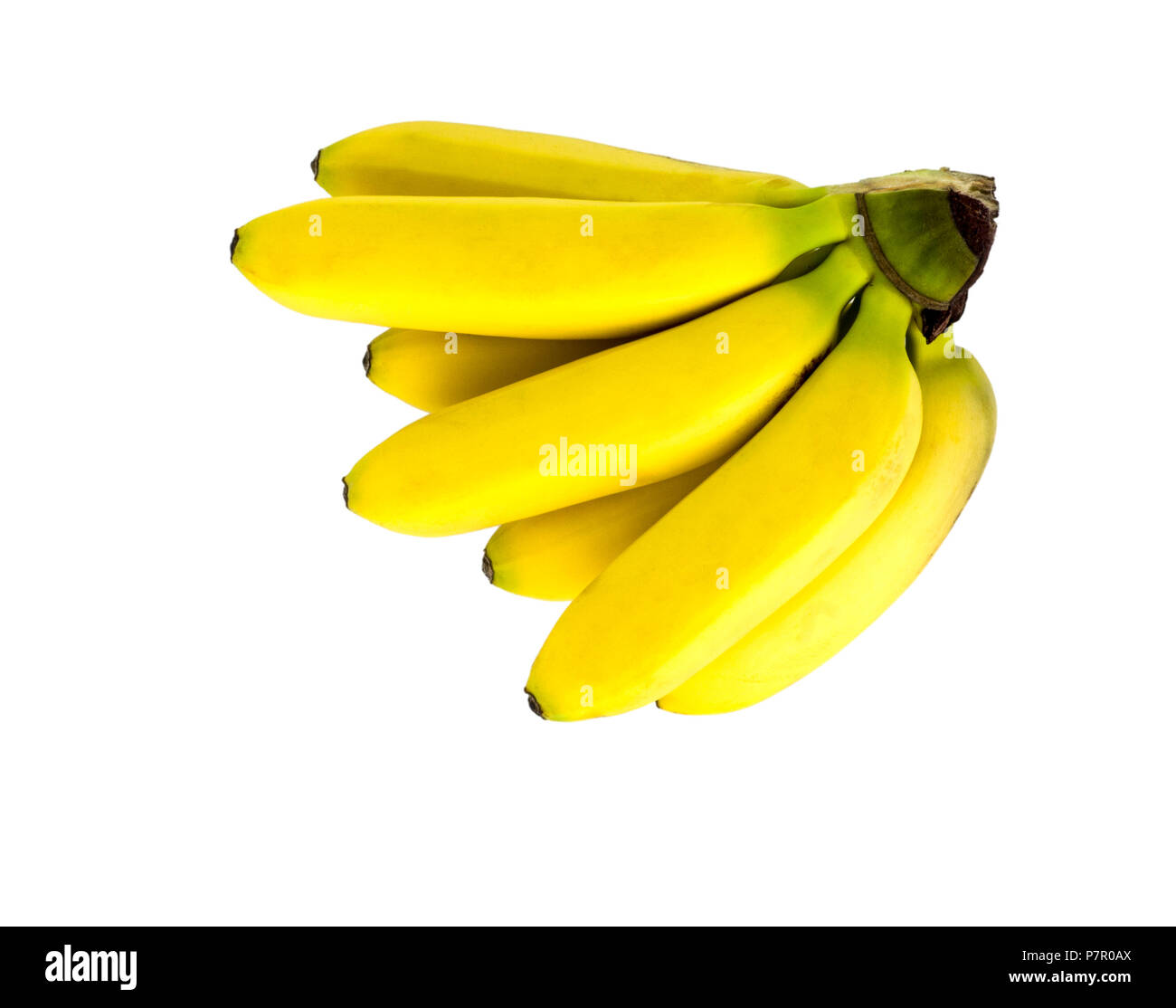 yellow ripe mini bananas isolated on white background. object, fruit ...