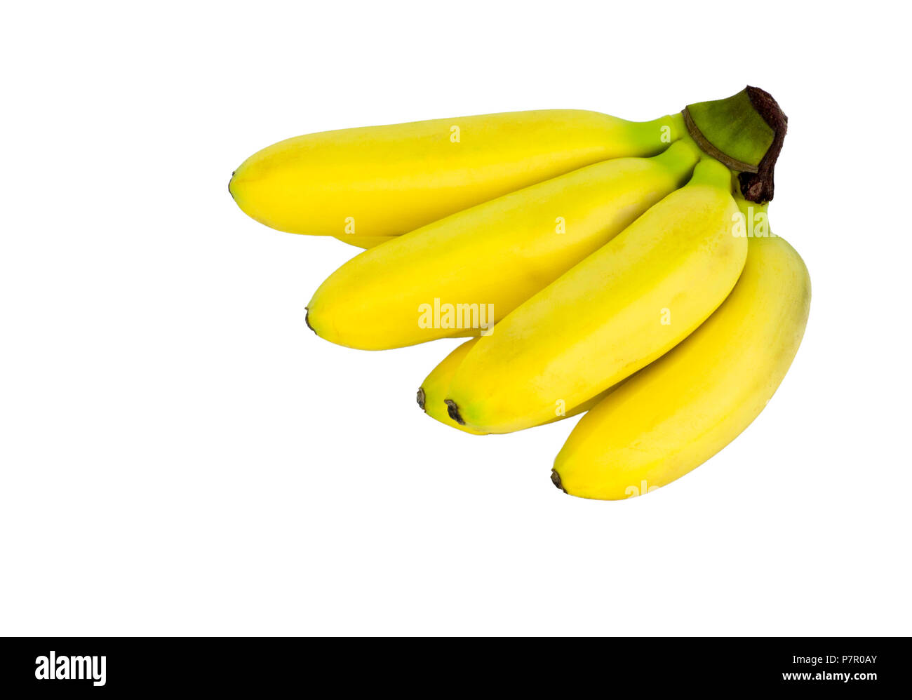 yellow ripe mini bananas isolated on white background. object, fruit ...