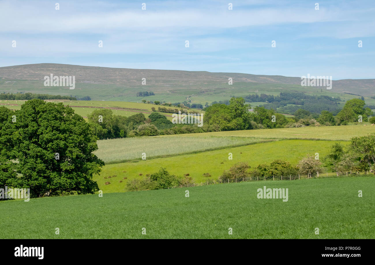 View across Eden Valley Stock Photo - Alamy