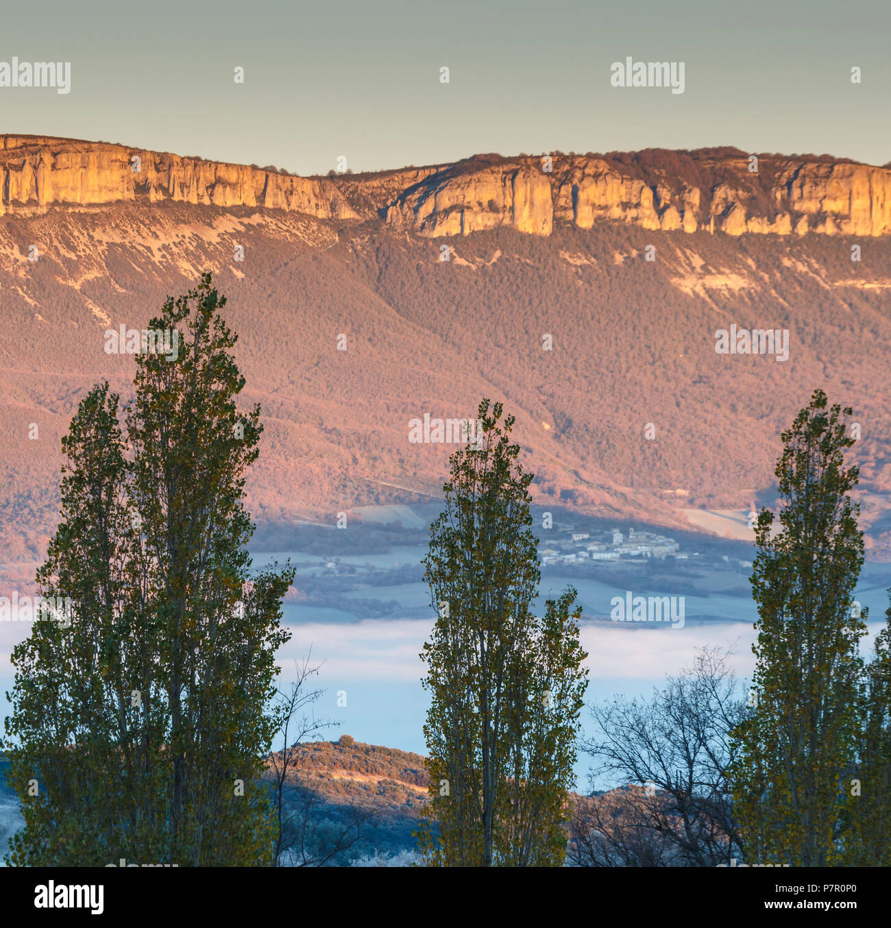 Mountain range and poplar trees Stock Photo - Alamy
