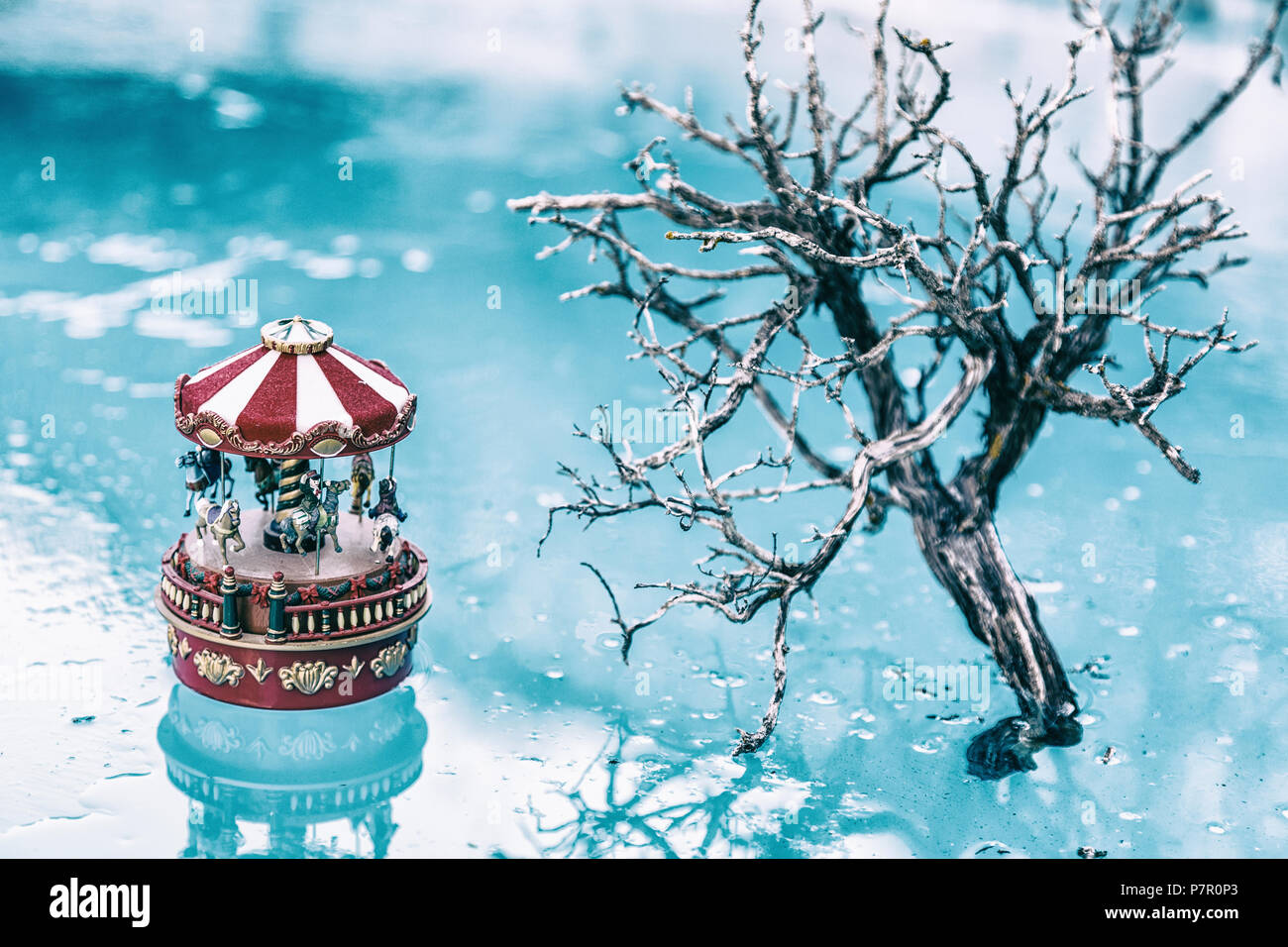 Roundabout carousel tree hi-res stock photography and images - Alamy