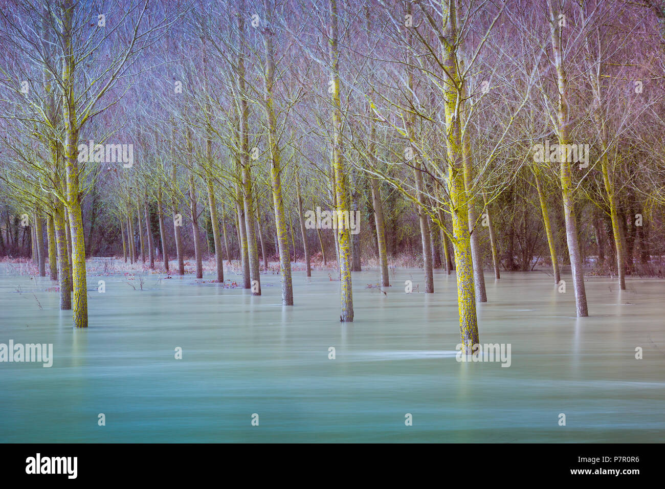 Rivers in flood hi-res stock photography and images - Alamy