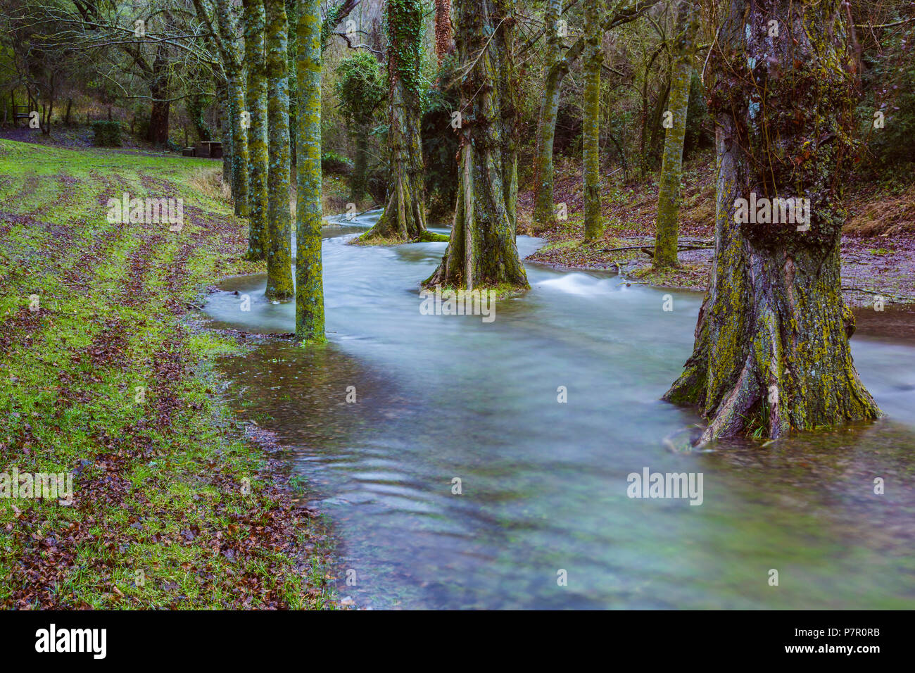 Brooks and streams hi-res stock photography and images - Alamy