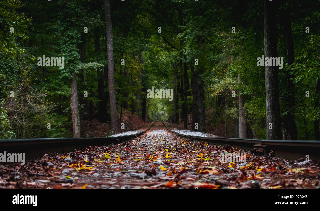 Leaf covered railway tracks at Stone Mountain Park, Atlanta, Georgia ...