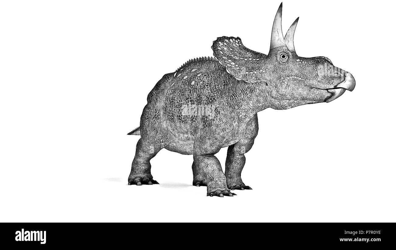 Diceratops High Resolution Stock Photography and Images - Alamy