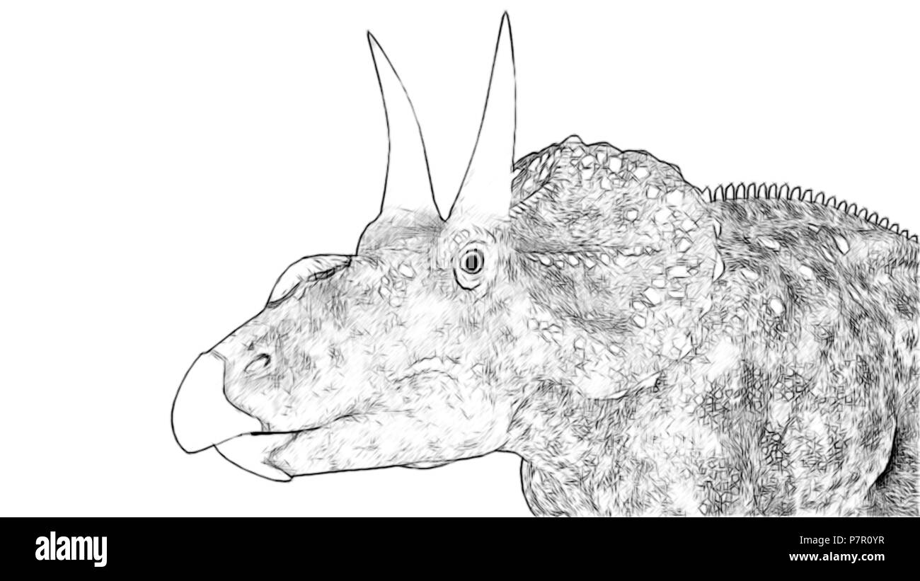 Diceratops hi-res stock photography and images - Alamy
