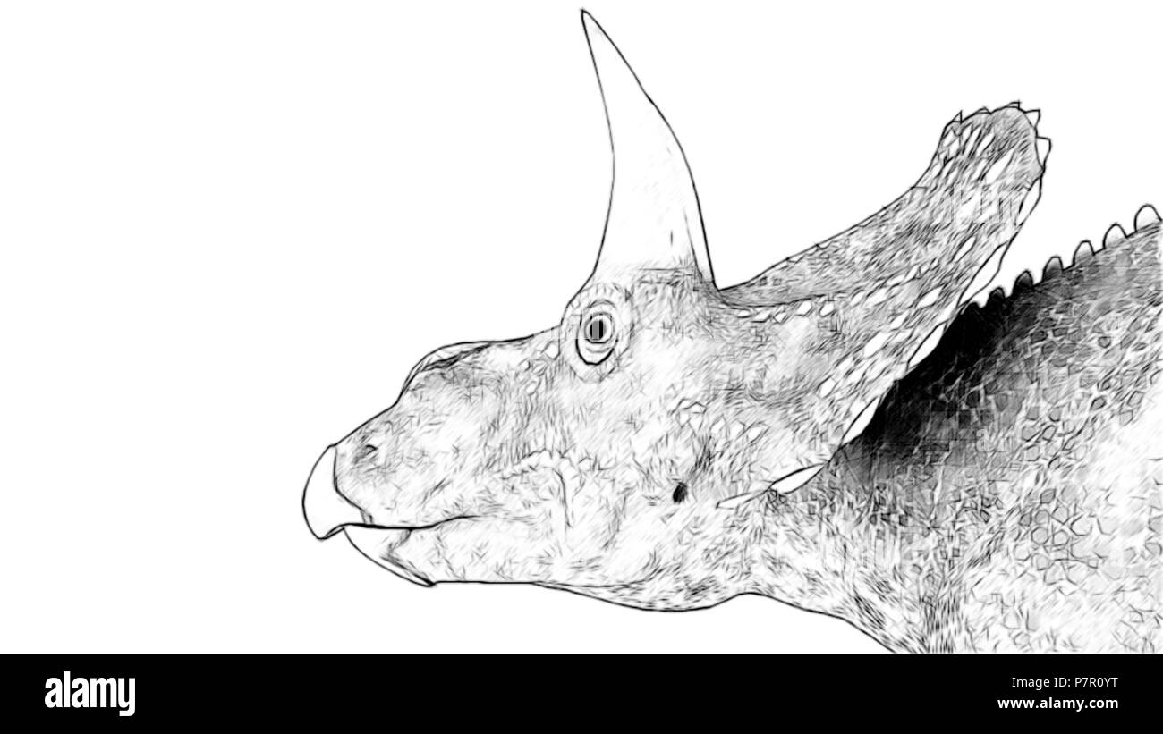 Diceratops hi-res stock photography and images - Alamy