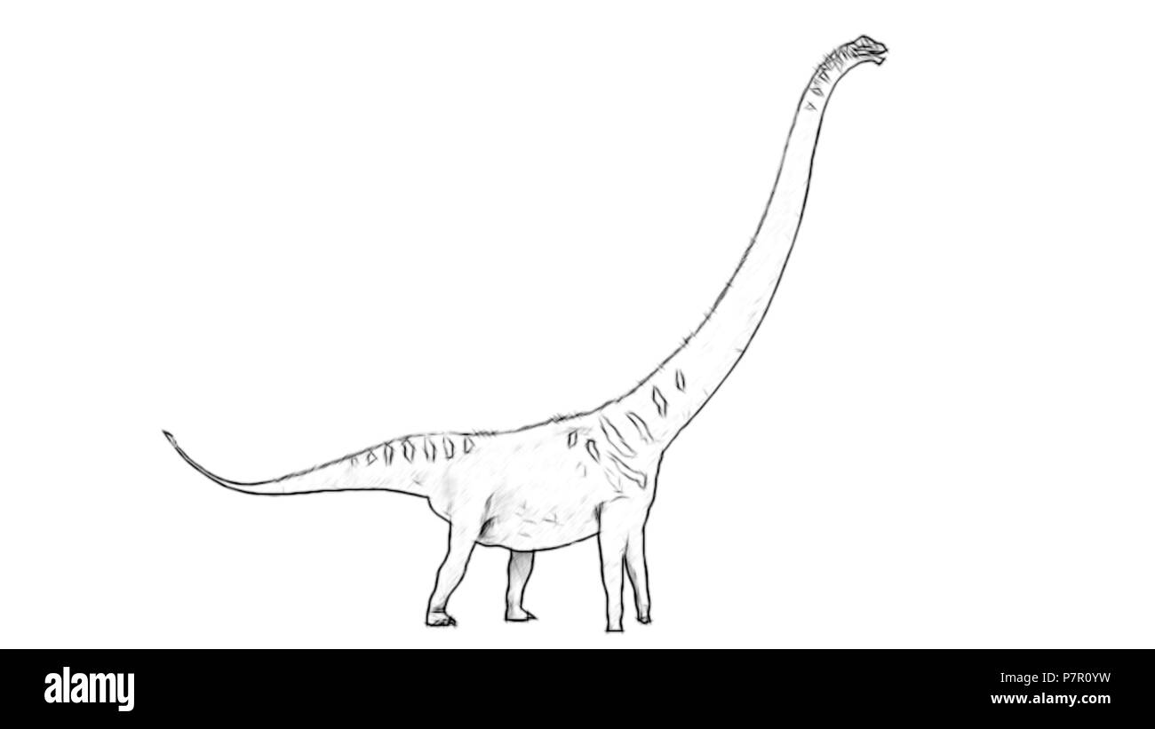 Mamenchisaurus fossil Black and White Stock Photos & Images - Alamy