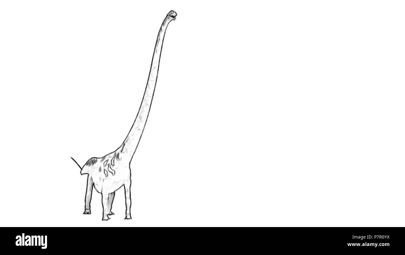 Mamenchisaurus Fossil High Resolution Stock Photography and Images - Alamy