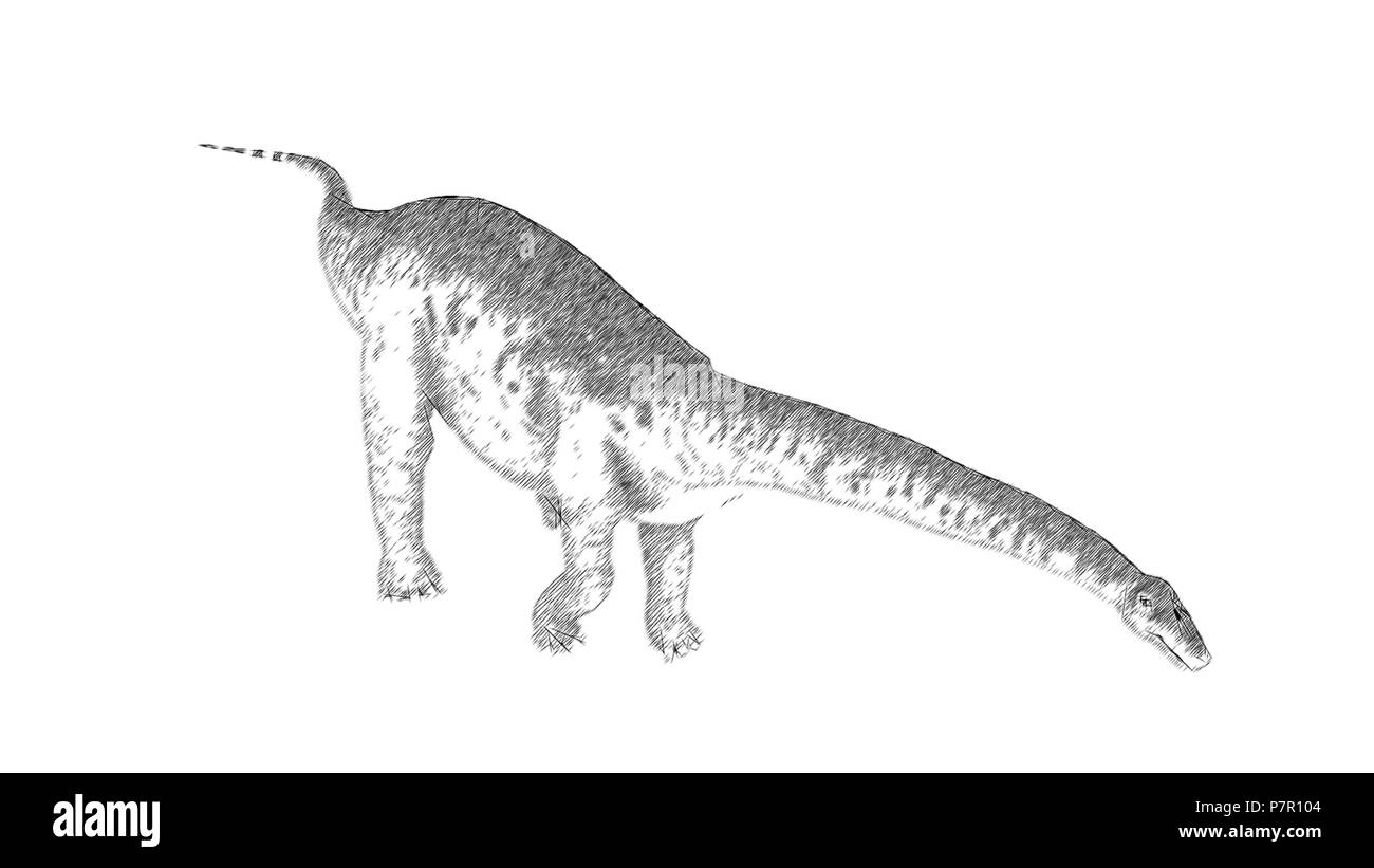 Apatosaurus fossil Black and White Stock Photos & Images - Alamy