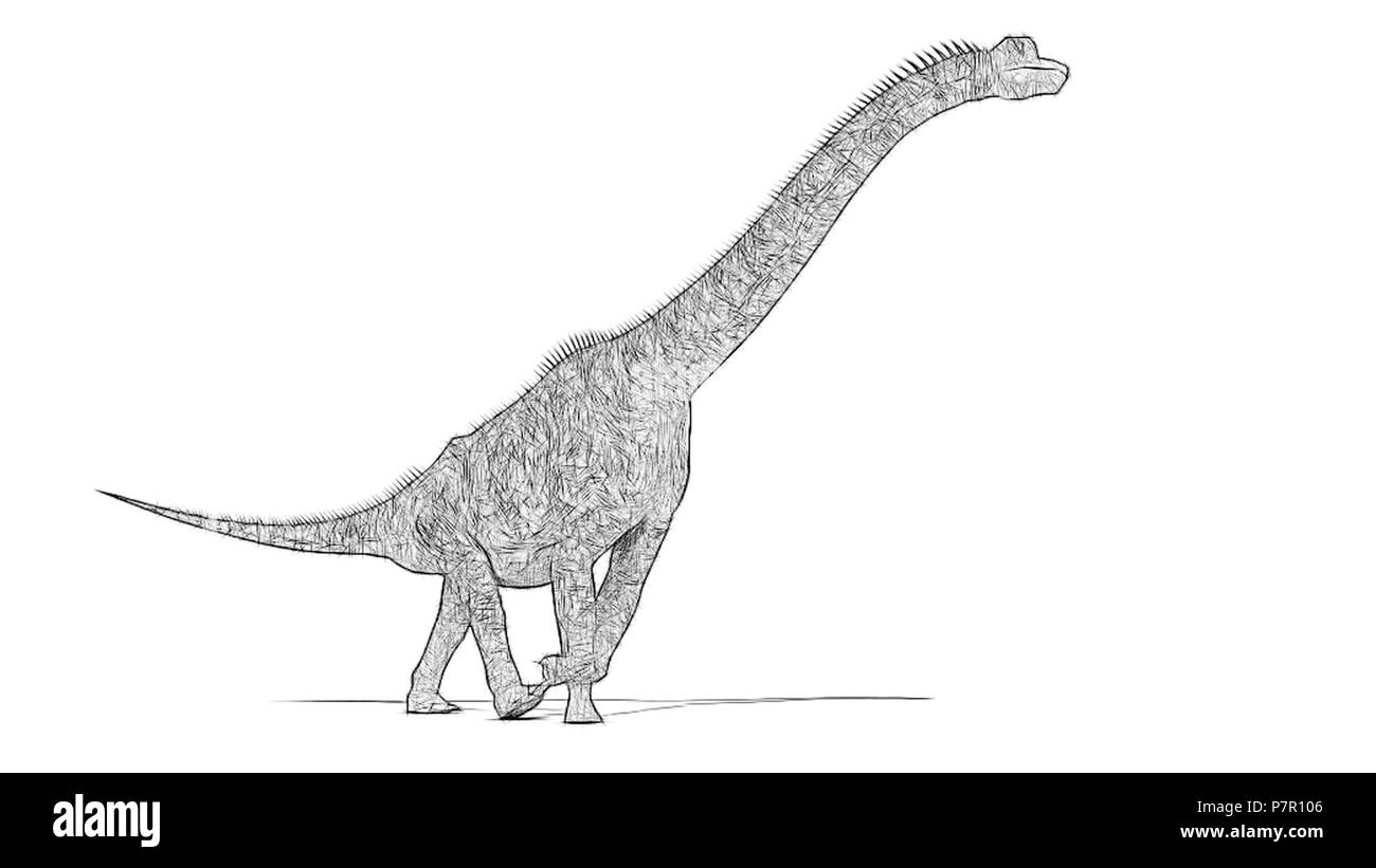 Brachiosaurus fossil Black and White Stock Photos & Images - Alamy
