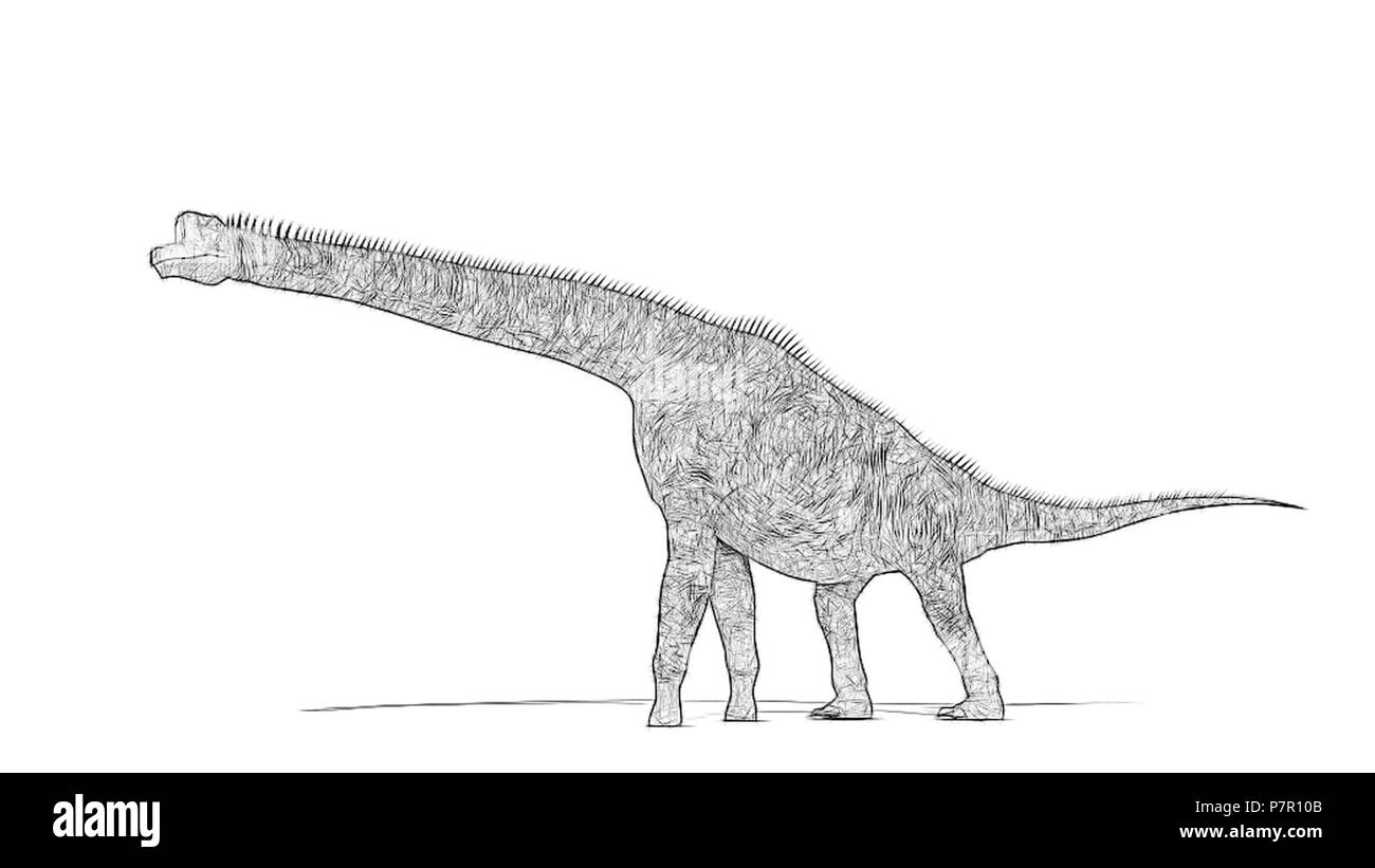 Brachiosaurus fossil Black and White Stock Photos & Images - Alamy