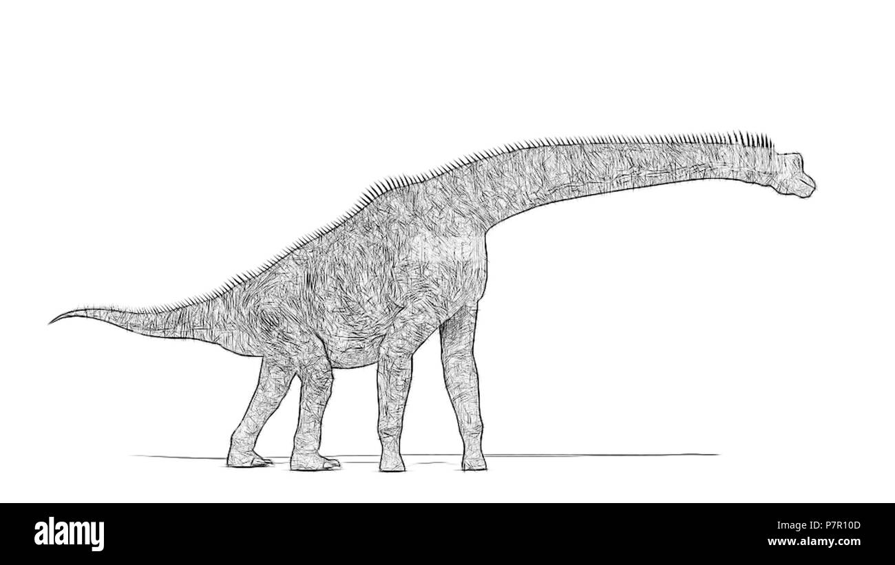 Brachiosaurus Dinosaur Black and White Stock Photos & Images - Alamy