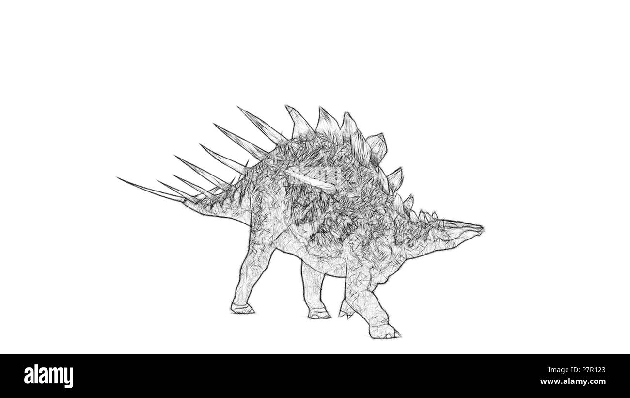 sketch of kentrosaurus Stock Photo - Alamy