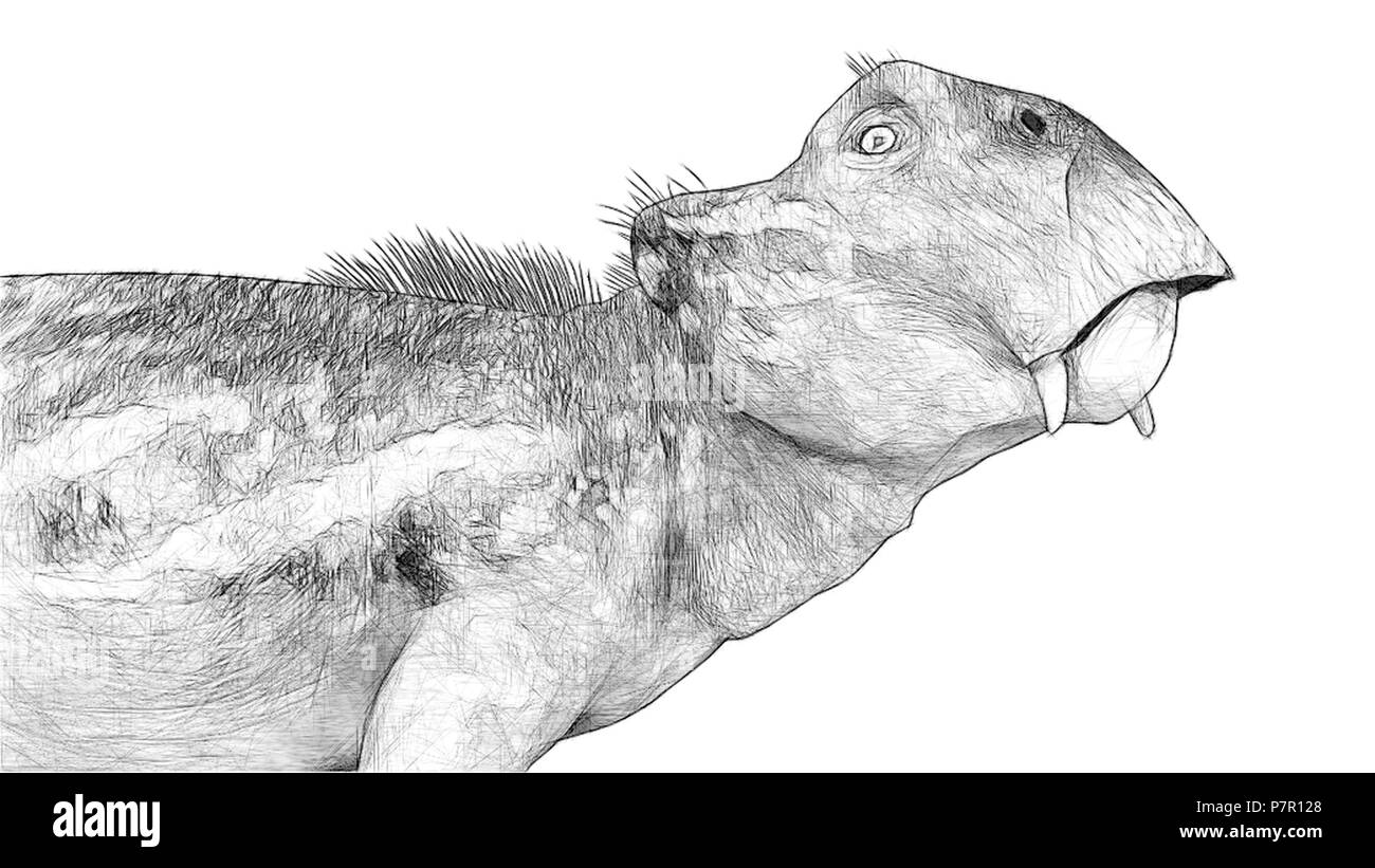 Lystrosaurus hi-res stock photography and images - Alamy