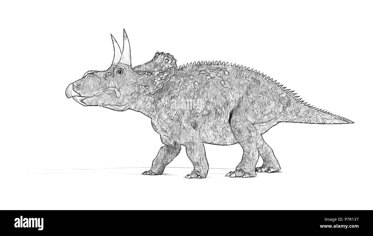 sketch of the diceratops Stock Photo - Alamy