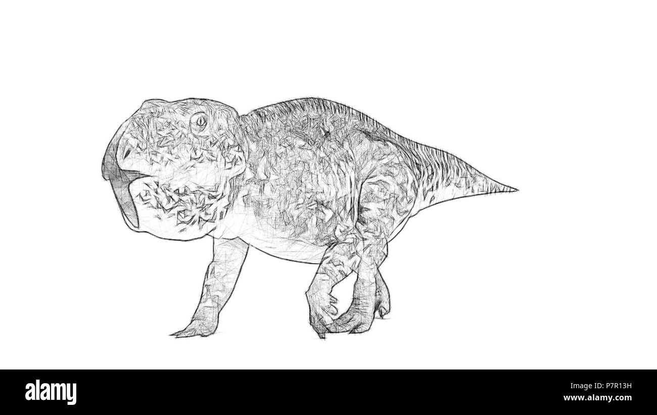 Dinosaur skin fossil Black and White Stock Photos & Images - Alamy