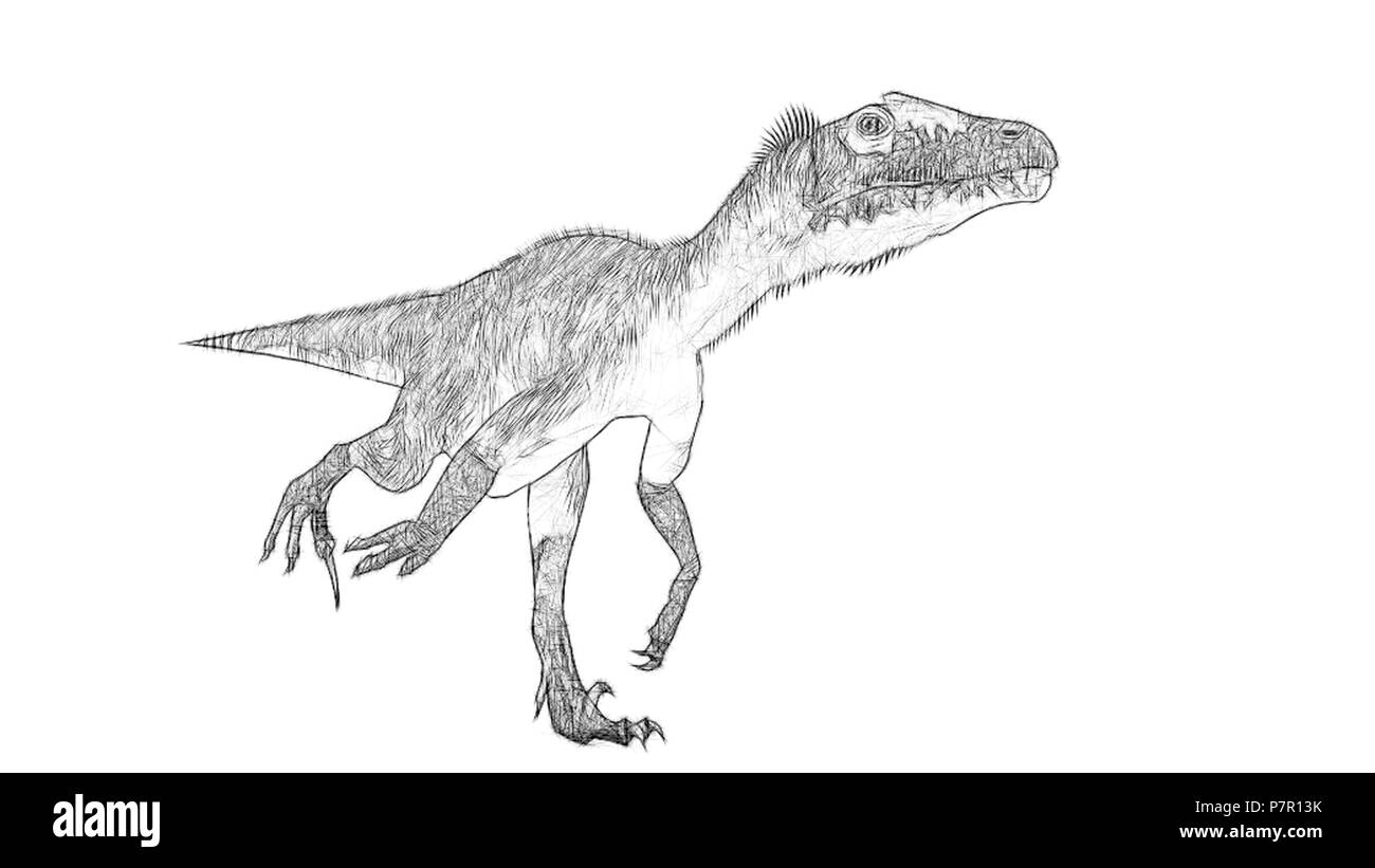 sketch of running utahraptor Stock Photo - Alamy