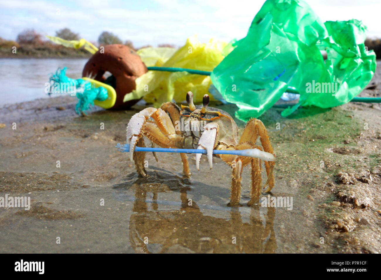 Oceanic Microplastic Pollution High Resolution Stock Photography and ...