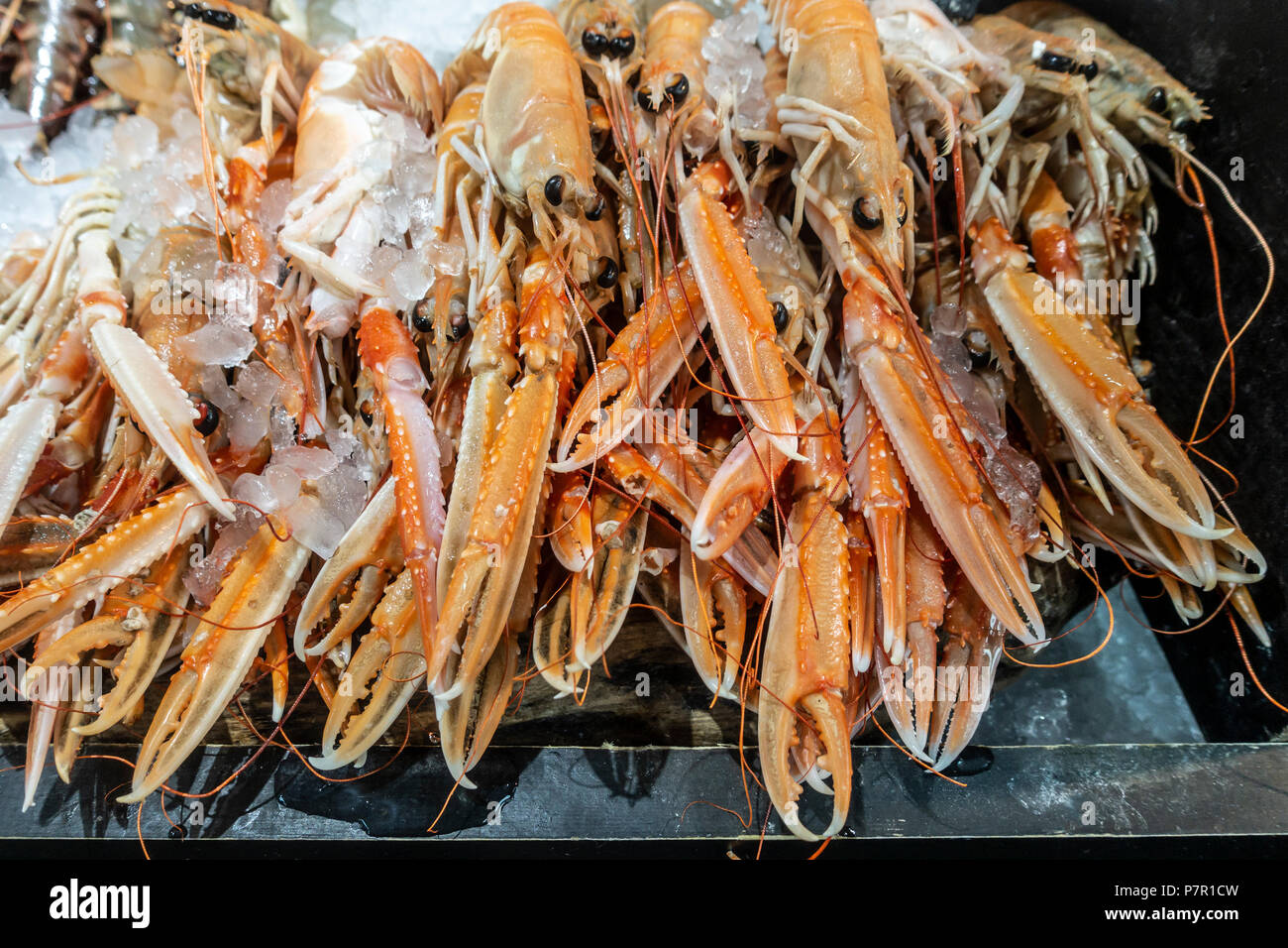 Crustaceans hi-res stock photography and images - Alamy