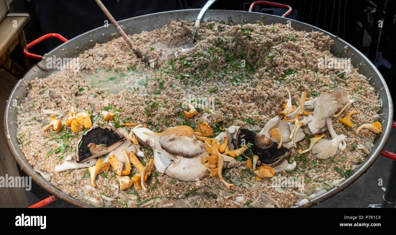 Mushhroom hi-res stock photography and images - Alamy