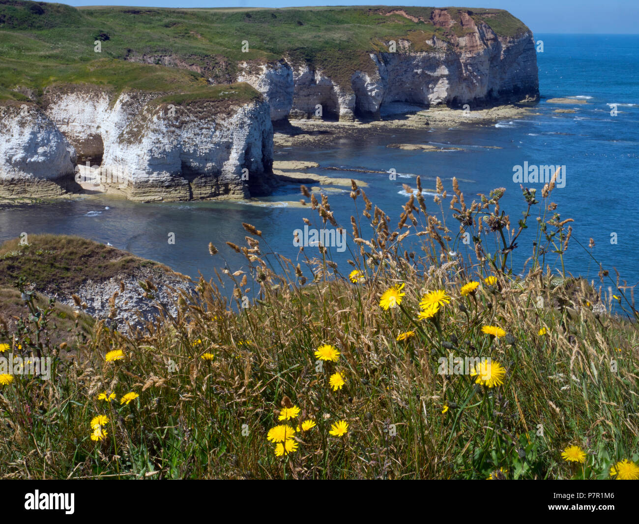 The limestone cliffs of Bempton RSPB Reserve East Yorkshire UK England ...