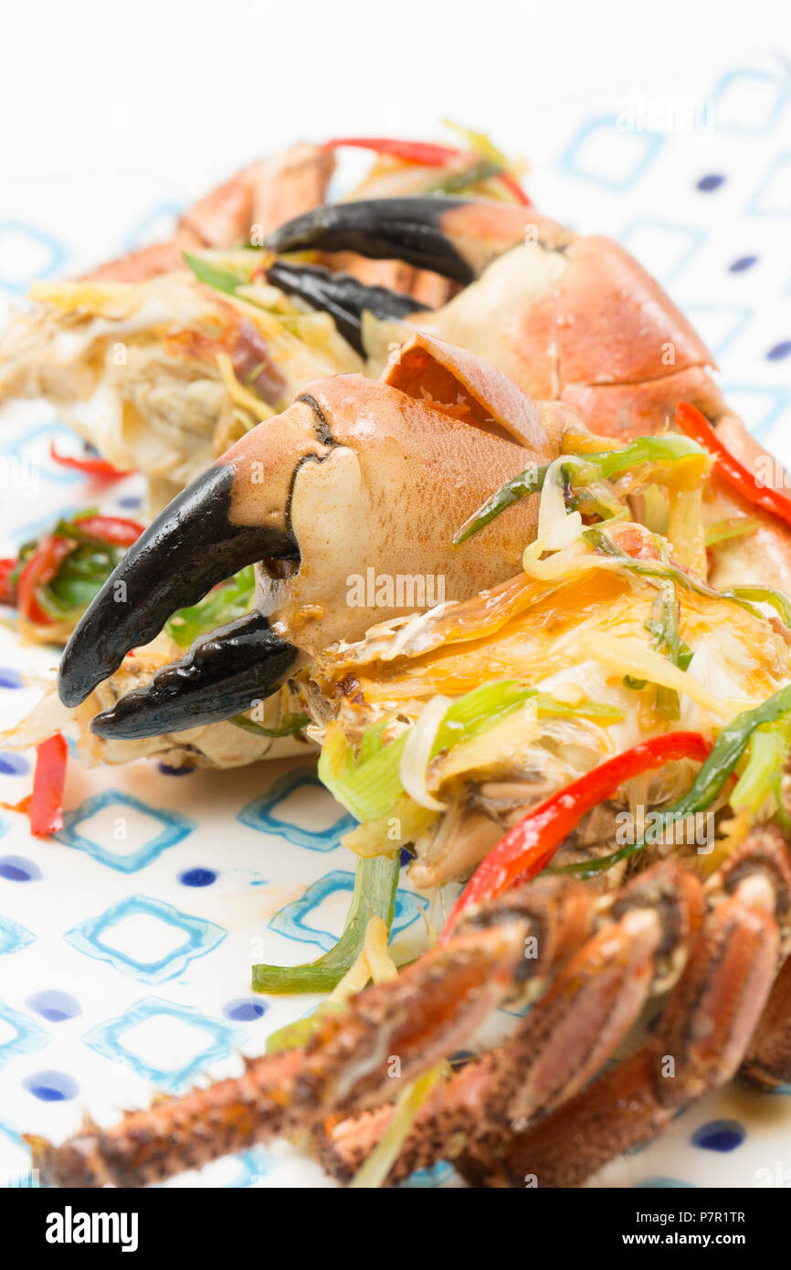 Cancer pagurus hi-res stock photography and images - Alamy