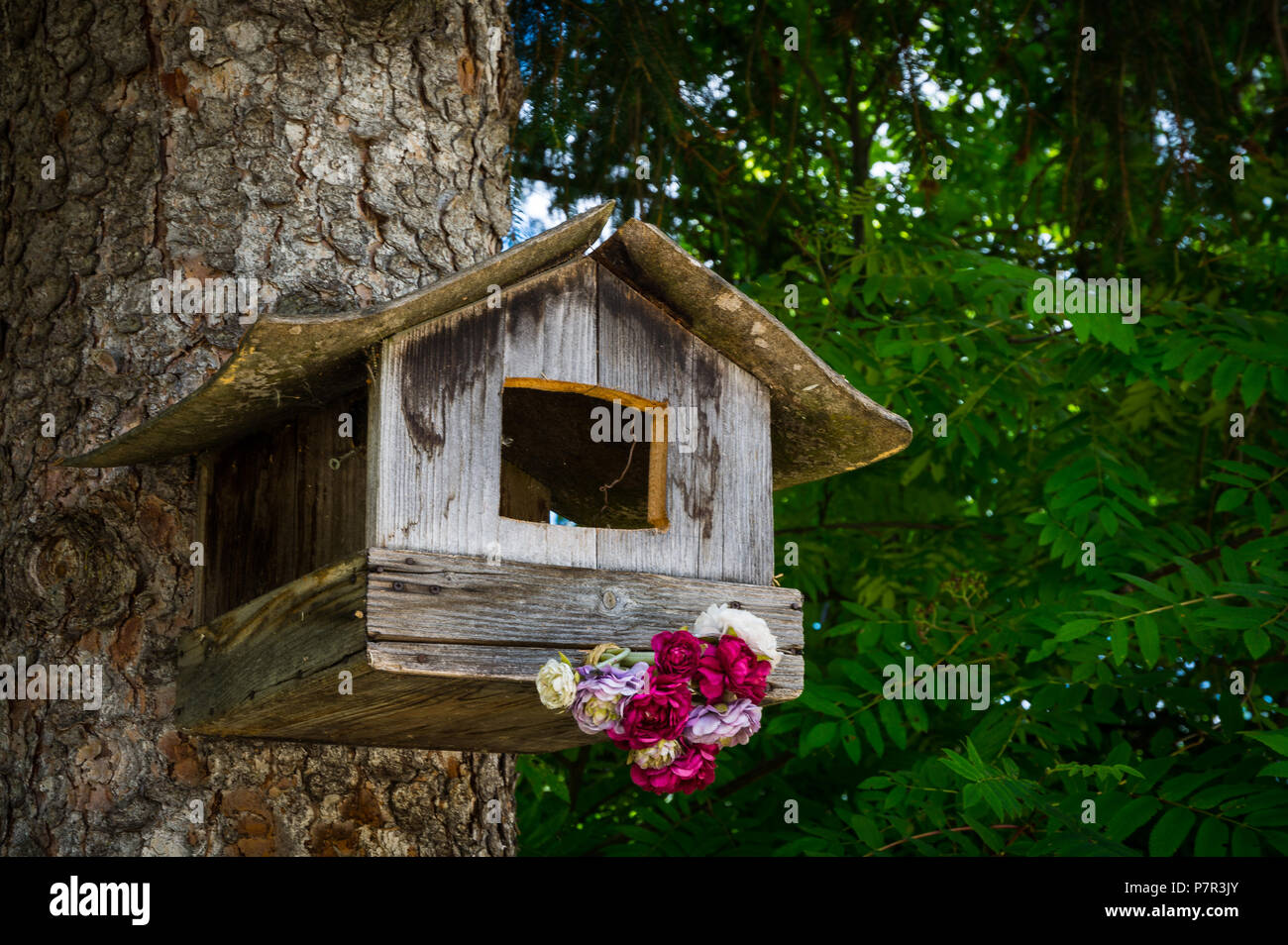 A birdhouse hanging on a pine tree in a forest in Tyrolean alps Stock ...