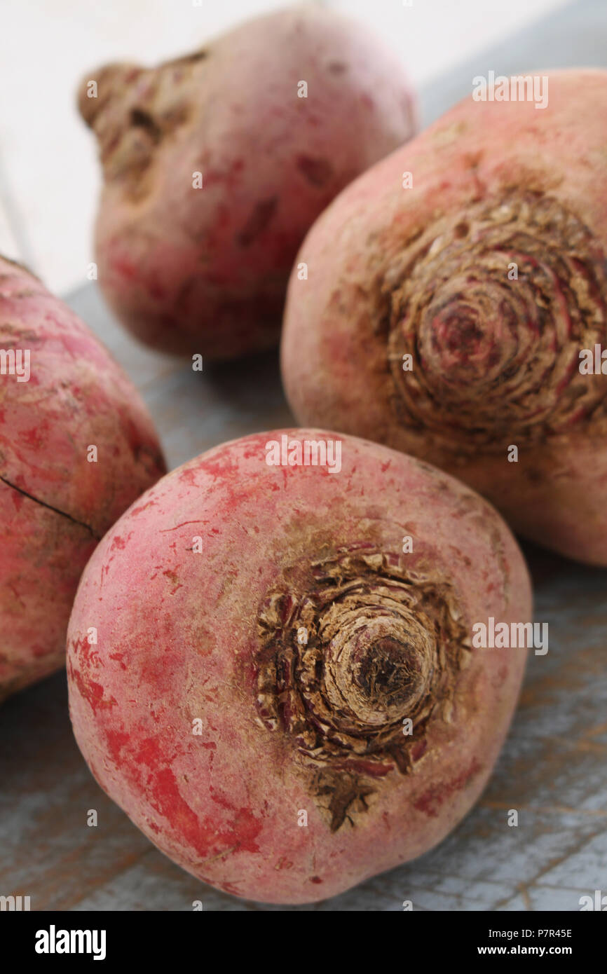 Heritage beetroot candy hi-res stock photography and images - Alamy
