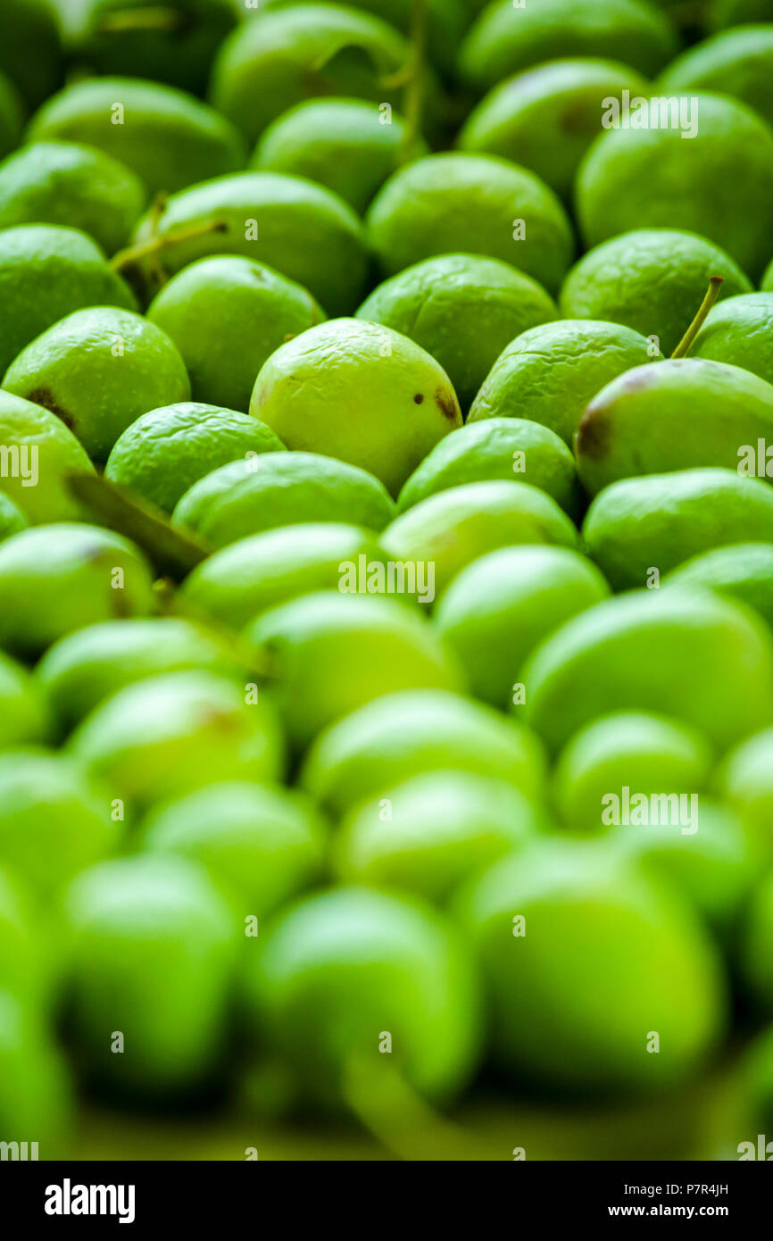 fresh raw green olives Stock Photo - Alamy