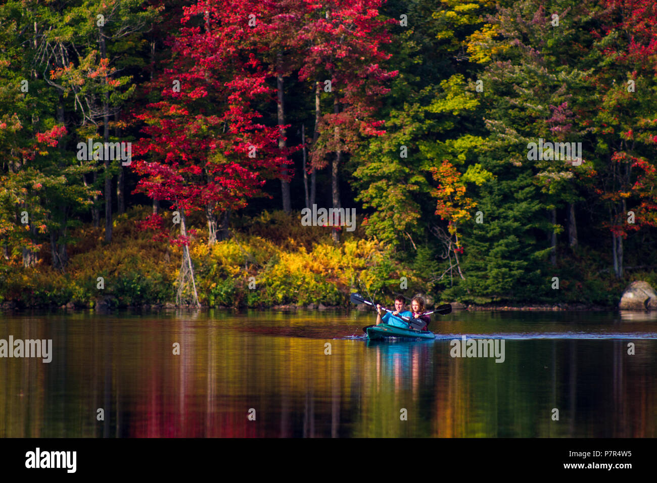 Adirondack park and canoe hi-res stock photography and images - Alamy