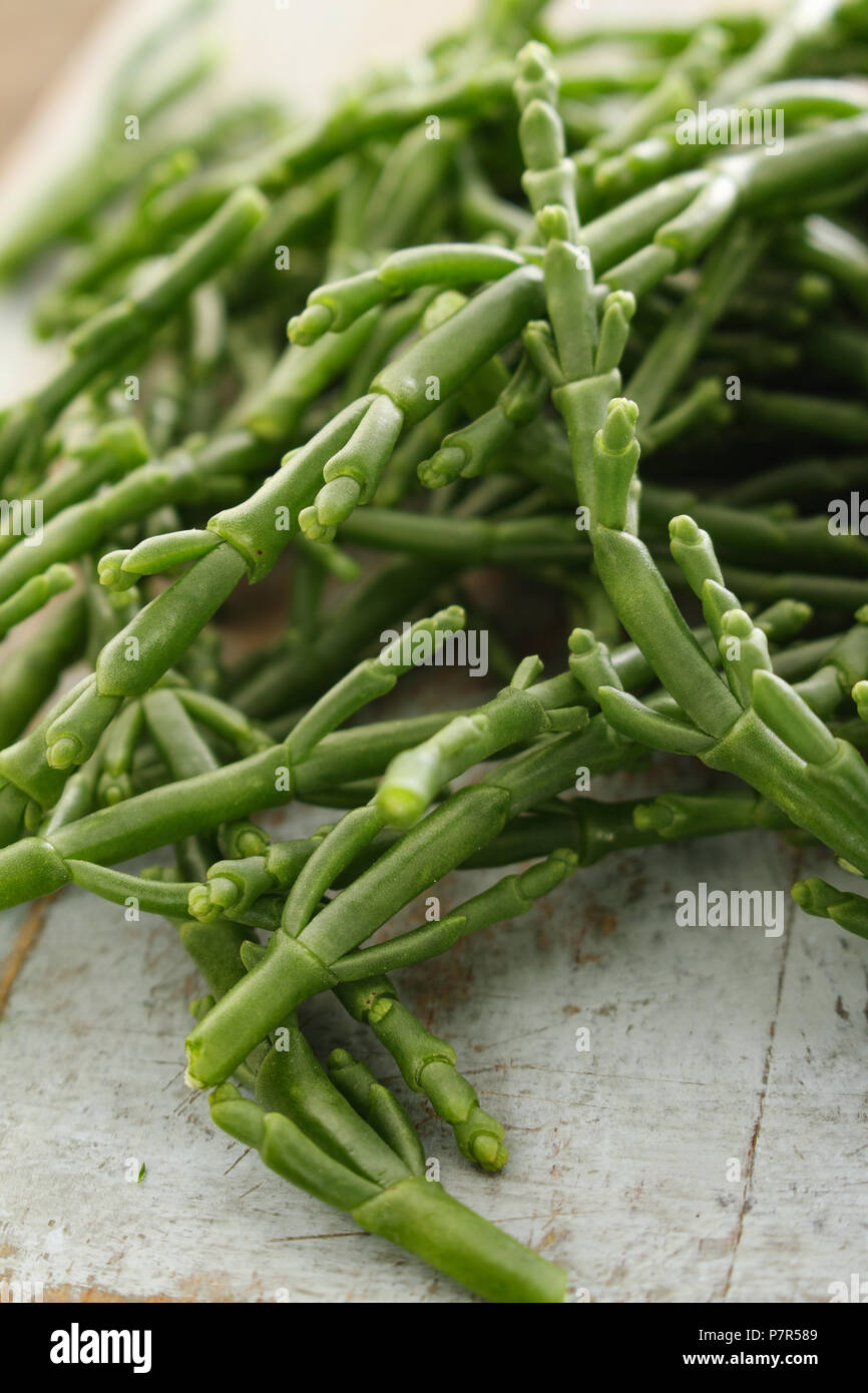 Uncooked samphire hi-res stock photography and images - Alamy