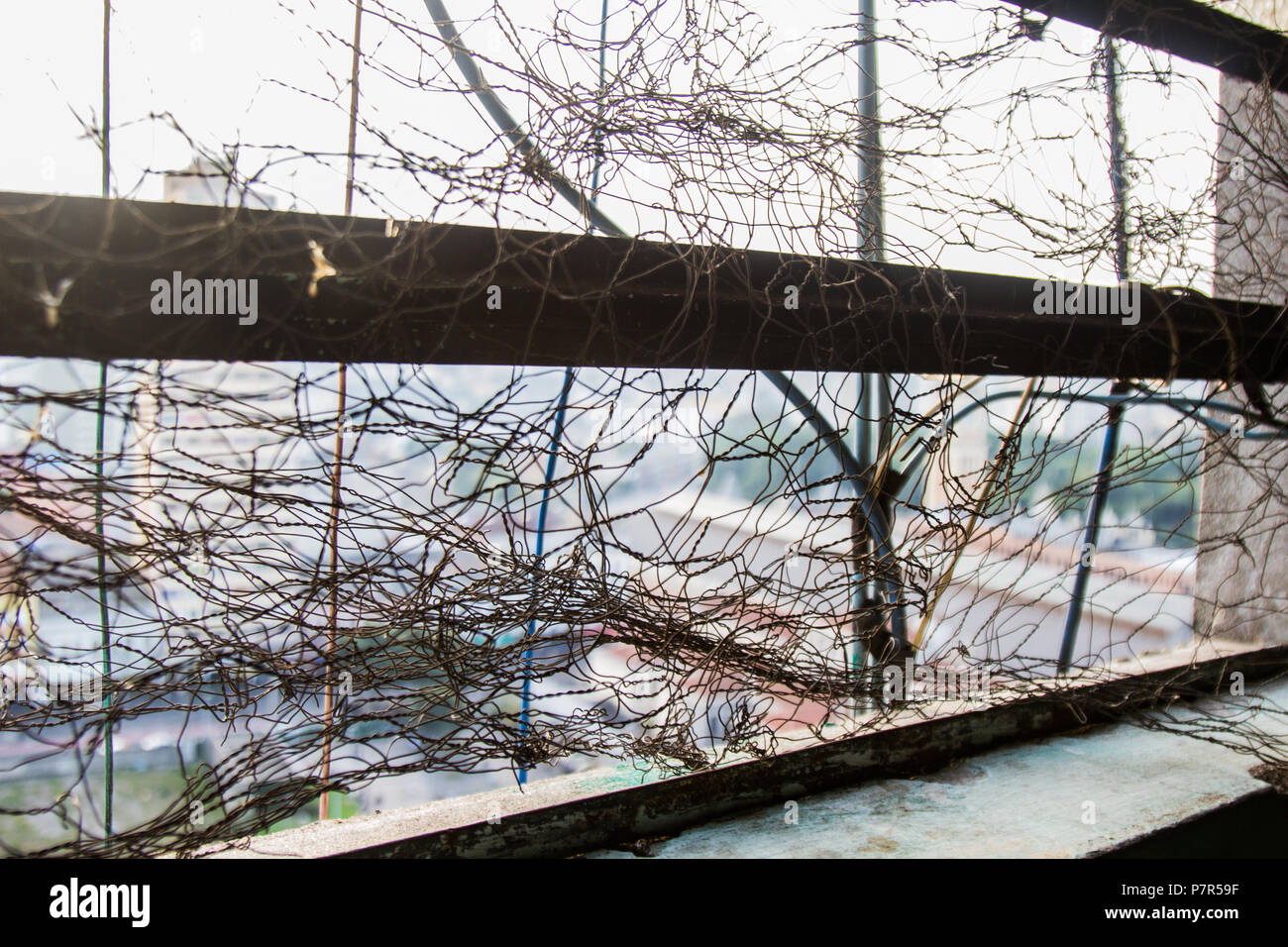 Decayed window with electric wires in a condemned building Stock Photo ...