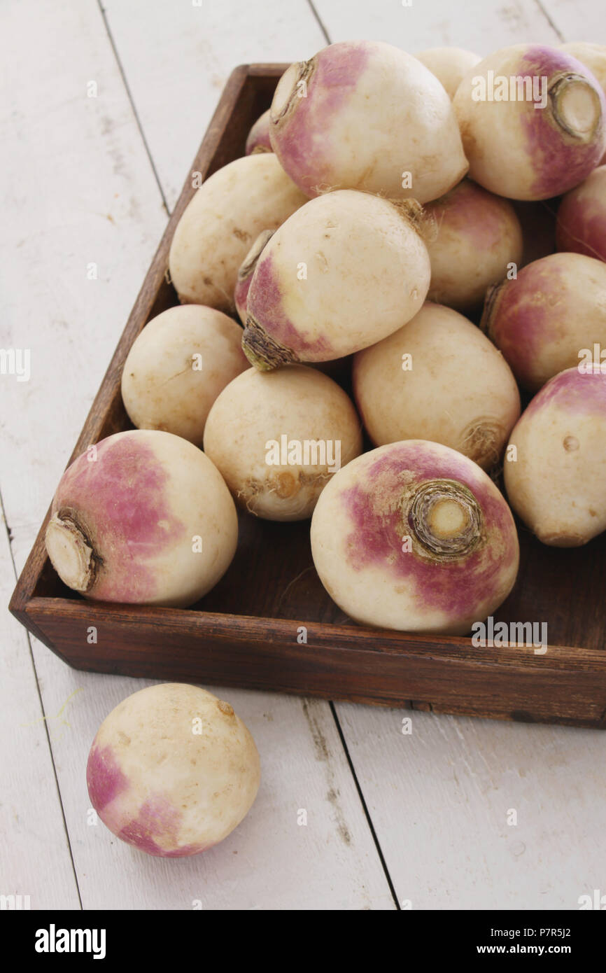 Washed turnips hi-res stock photography and images - Alamy