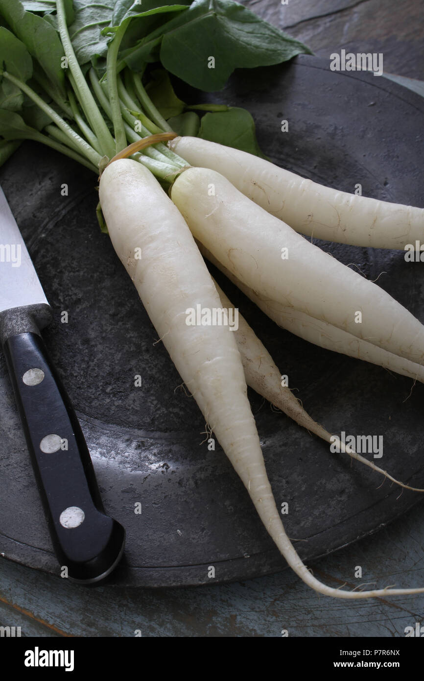 white daikon raddish Stock Photo - Alamy