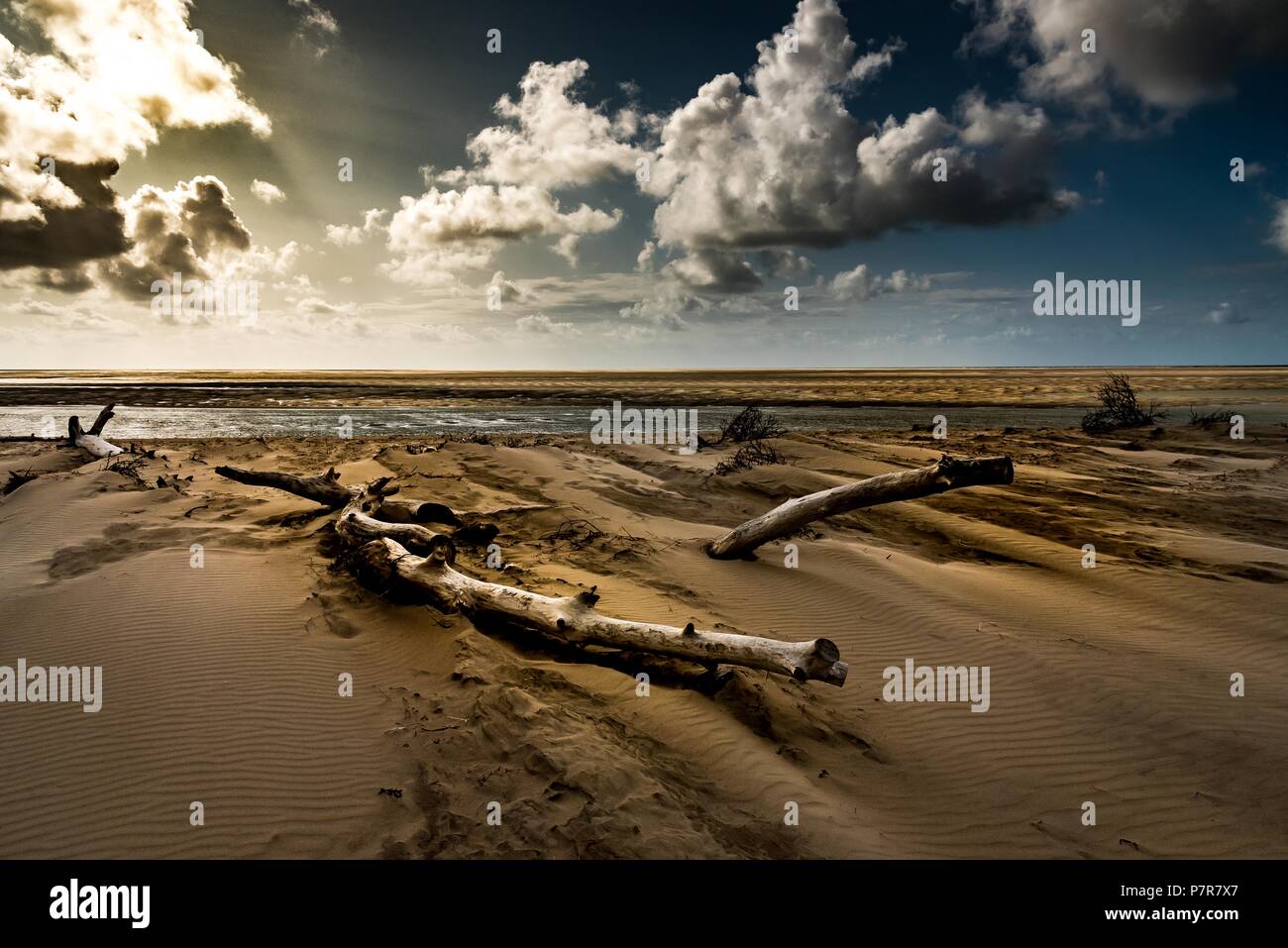 Dead low tide hi-res stock photography and images - Alamy