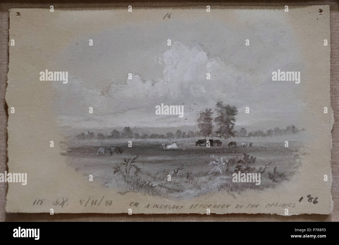 Pastel prairies hi-res stock photography and images - Alamy