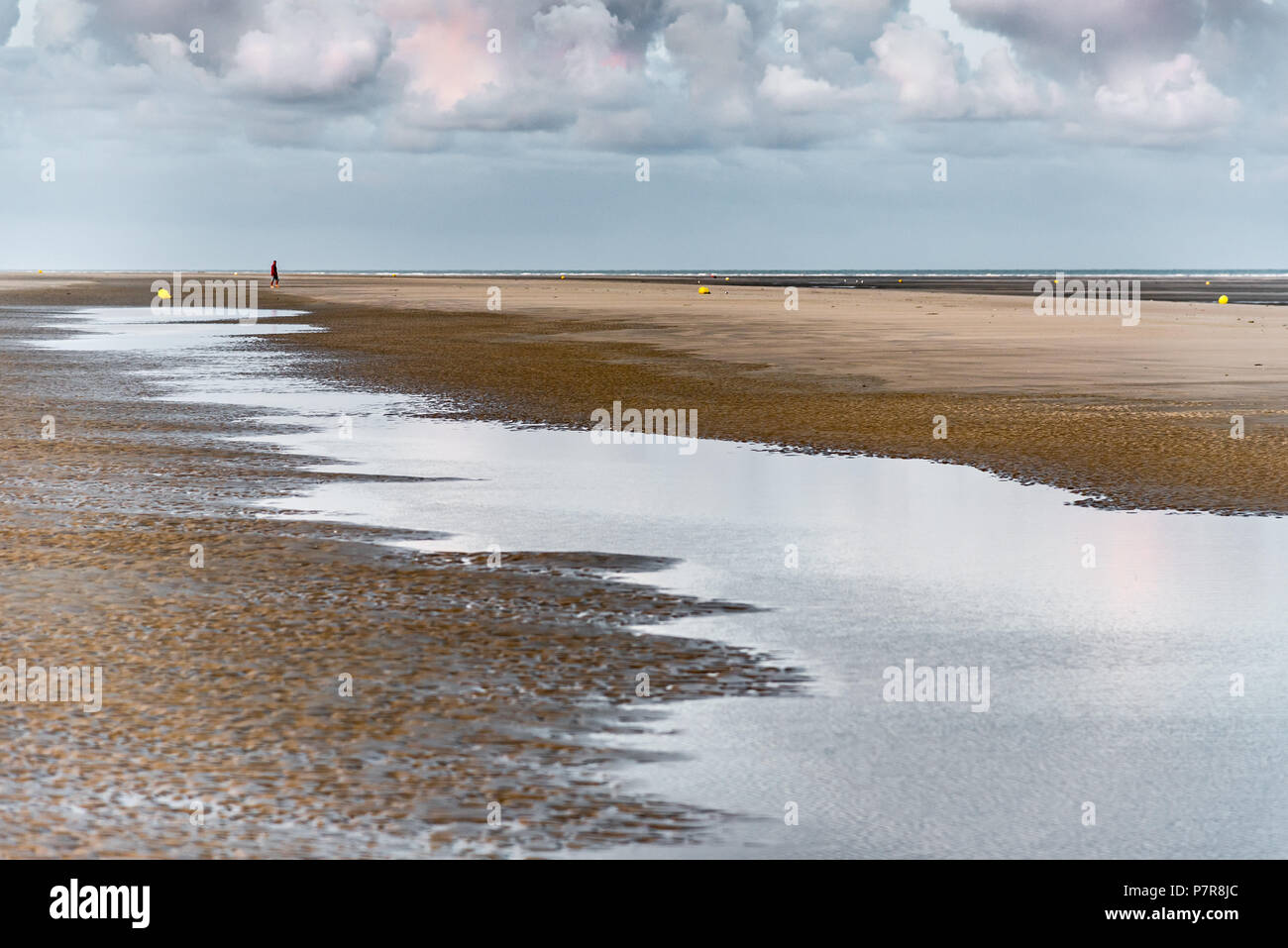 Puddle water in desert hi-res stock photography and images - Alamy